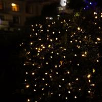 China Christmas Decoration Solar String Light for Celebration for sale
