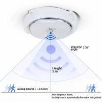 China Street Home Garden Solar Ceiling Light Indoor With Intelligent Control System for sale