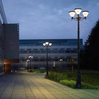 China 8W 18W 28W 45W Energy Saving Solar Garden Lamp Rust Proof Aluminum Solar Flower Lights for sale