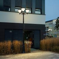 China 8W 18W 28W 45W Energy Saving Solar Garden Lamp Rust Proof Aluminum Solar Flower Lights for sale