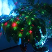 China Warm White Blue Red High Lumen Solar Spot Lights For Outdoor Garden Illumination for sale