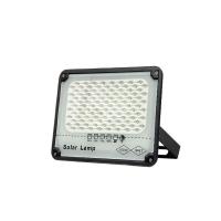China LED Solar Flood Light With Energy-Saving Auto Light Sensor Intelligent for sale
