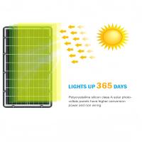 China Smart All In One LED Solar Street Light With Dusk To Dawn PIR Sensor For Rural Roads for sale