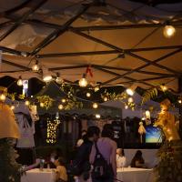 China LED Solar String Light With IP45 Waterproof for Outdoor Decorative for sale