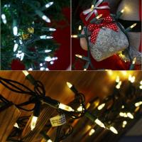 China LED Solar String Light With Dual Charging Solar+USB for Camping & Balcony for sale