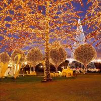 China LED Solar String Light With Warm White 100LED for Christmas Tree Decor for sale