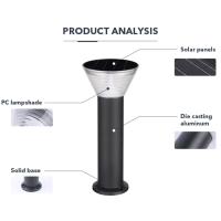 China Decorative LED Solar Lawn Light for Garden Lawn Flower Bed for sale