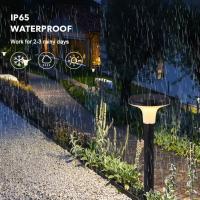 China IP65 Waterproof Solar Powered Lawn Light for Backyard Decoration for sale