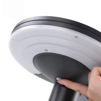 China Waterproof All-Weather Solar LED Lawn Lights Outdoor Yard Patio Decor for sale