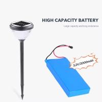 China Motion Sensor Solar Lawn Lights - Auto-On/Off Waterproof LED Garden Path Lights for sale