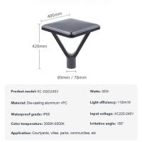 China Solar LED Garden Lights with Adjustable Brightness LED Decorative Lighting for Backyard/Deck for sale