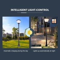 China Color-Changing Solar Outdoor Lights Solar LED Garden Lights Waterproof for Backyard Lighting for sale