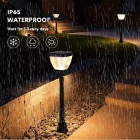 China Color-Changing Solar Outdoor Lights Solar LED Garden Lights Waterproof for Backyard Lighting for sale