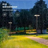 China Heavy-Duty Solar Garden Lights Motion-Activated IP65 Waterproof Solar Lighting for Garden for sale