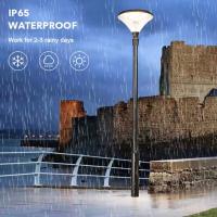 China Motion Sensor Solar Security LED Garden Lights IP65 Waterproof Solar Garden Lights for Yard for sale