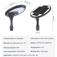 China Solar Path LED Garden Lights Auto Dimming Solar LED Garden Lights with 3 Lighting Modes for sale
