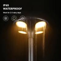 China Solar Garden Lights Outdoor Waterproof LED 100 LED Solar Pathway Lights with Auto On/Off for Patio for sale