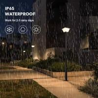 China IP65 Waterproof Solar Garden Lights 100% Solar Powered LED Lights with 12H Runtime for Outdoor Garden for sale