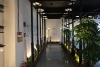 China Solar Garden Light IP65 Waterproof LED Solar Courtyard Light for Garden Yard Patio Pathway for sale