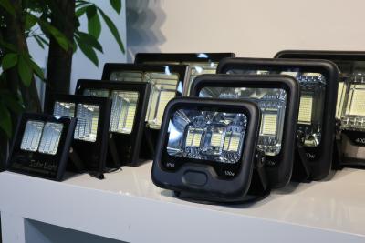 China Energy Saving LED Flood Light IP65 Waterproof Residential Outdoor Lighting for Garden Villa Patio for sale