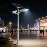 China High Bright Solar Street Light, LED Outdoor Lighting with 3000K-6500K Dimmable & Solar Panel Charging for sale