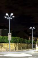 China Create an Elegant Garden Night 6-Heads Lily Solar Light with 480 LEDs, Auto On/Off, IP65 Waterproof for sale