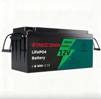 China 12.8V 200Ah LiFePO4 Grade Battery Built-in Smart BMS CAN Communication 2560Wh Portable for Solar Energy Storage Marine for sale