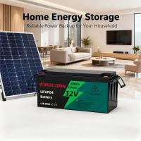 China 12.8V 200Ah LiFePO4 Grade Battery Built-in Smart BMS CAN Communication 2560Wh Portable for Solar Energy Storage Marine for sale