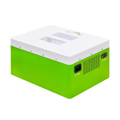 China 300W Solar Generator Car Compatible Household Portable Backup External Battery LiFePO4 Pure Sine Wave Inverter MPPT EU for sale