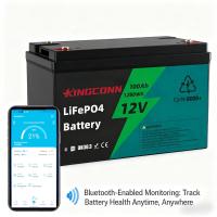 China 12V 100Ah LiFePO4 Battery, 8000+ Cycles, Bluetooth Monitor. Perfect for Solar, RV & Home Off‑Grid Energy Storage. for sale
