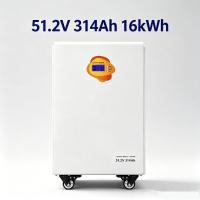 China 51.2V 314Ah 16kWh LiFePO4 Battery Pack 8000 Cycles CAN RS485 LCD Wheels For Solar Energy Storage for sale