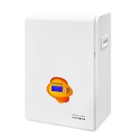 China 51.2V 200Ah 10.24kWh Wall‑Mounted LiFePO4 Battery for Home Solar Energy Storage for sale