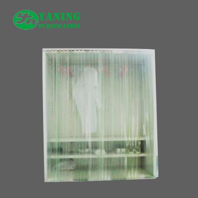 China Powder Coating Cleanroom Garment Storage Closet with 99.99% HEPA Filtration for Electronics Factory for sale