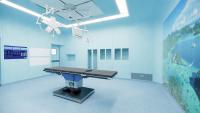 China Turnkey Modular Operating Room with ISO Class 5-8 Cleanliness and Integrated Surgical Suite for sale