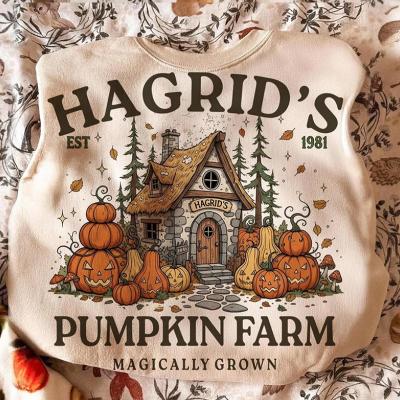 China Fashionable Soft Sweatshirts 180cm XL Size  Winter Hoodies For Women Winter for sale