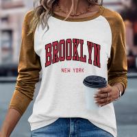 China Relaxed Style Long Sleeve Crew Neck T Shirt Gradient Color Round Neck Long Sleeve Top for sale