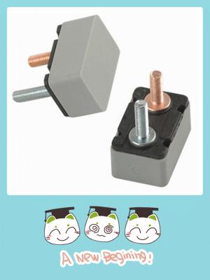 China Automatic 60 Amp 12 Volt Marine Circuit Breaker For Boat Accessory for sale