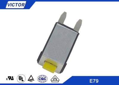 China Electrical Power Manual Reset Circuit Breaker Protection For Cars for sale