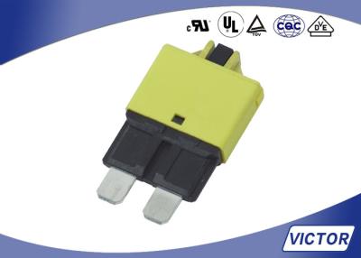 China Automotive Car Amp Circuit Breaker , 28V T3 / Manual Auto Reset Circuit Breaker For Car for sale