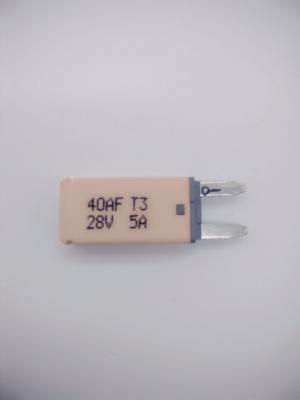 China Car Truck Caravan Auto Reset Circuit Breaker Replaces Standard Blade Fuse for sale