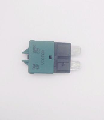 China Automotive Circuit Breaker Auto Thermal Circuit Breaker 6A 24V for sale