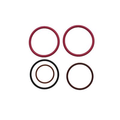 China HEUI Injector 3508 Repair Kit Seal Ring Washer for sale