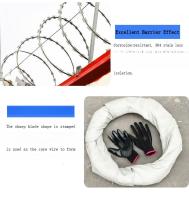 China Industrial and Mining Enterprise Garden Apartment Stainless Steel Blade Thorn Rope for sale