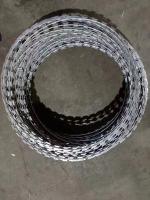 China Hot sale Razor Wire Fence Razor Barbed Wire Galvanized Concertina Razor Wire for sale