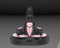 China Amusement Park High Torque 7.2Nm Motor Electrical Go Kart 750w 28km/H for sale