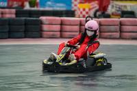 China Kids Electric Go Kart with 4 Wheels , Single Hydraulic Disc Brake Pedal Go Kart for sale