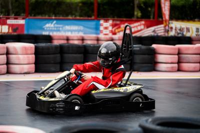 China Adult 3000RPM Electric Racing Go Kart With 4130 CrMo Frame Ride On for sale