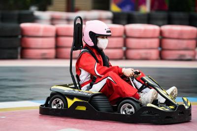 China Pedal Karting Electric Go Kart For Kids , 750w Adult Mini Go Kart for sale