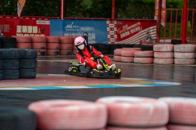 China Quick Charge Electric Go Kart Pro With 4 Wheels Drive Seats Adult Fast Speed for sale