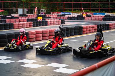 China Kids Electric Go Kart with 4 Wheels , Single Hydraulic Disc Brake Pedal Go Kart for sale